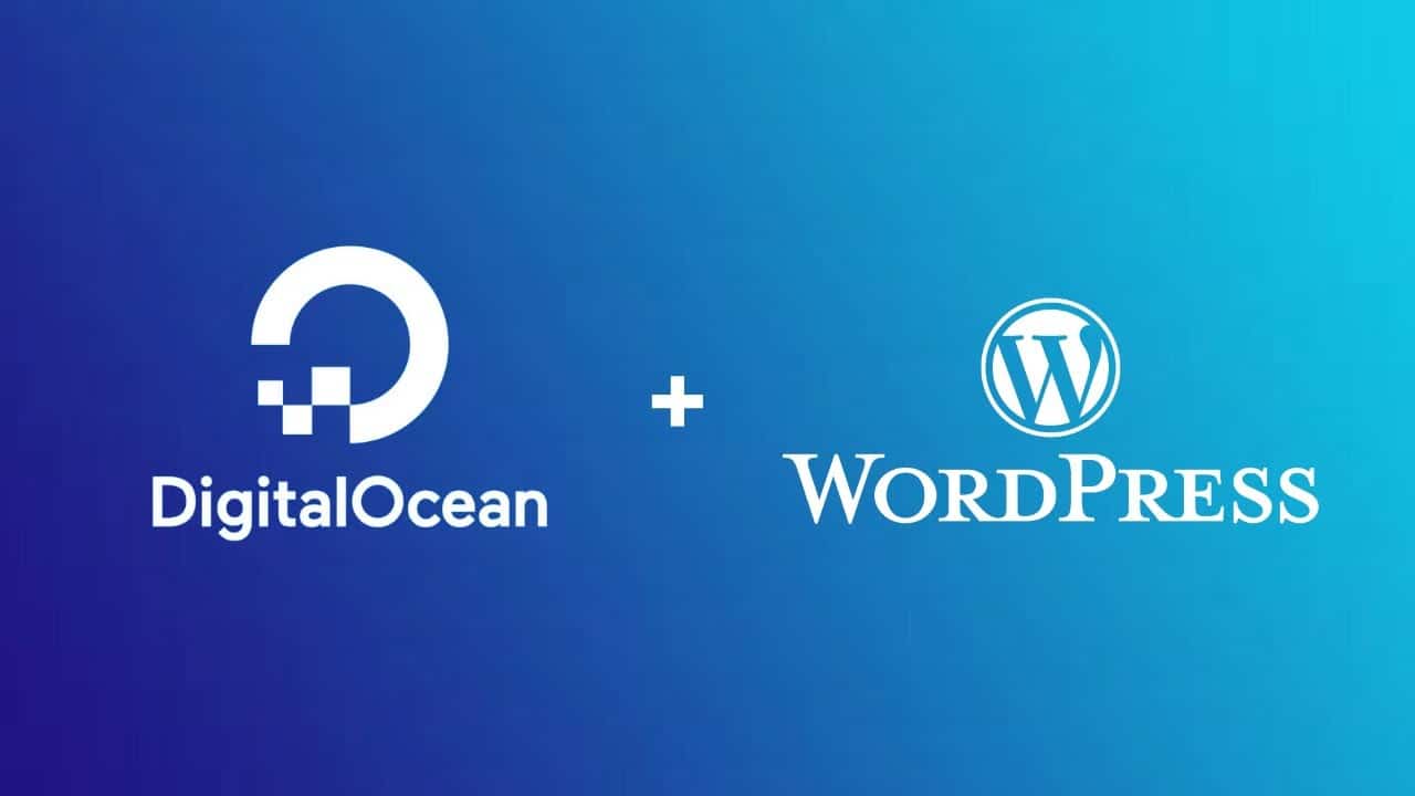 Deciphering the Digital Ocean Droplet Cost: A User’s Perspective | HddClub